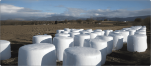 How to Make Silage: A Step-by-Step Guide - CloudFilm